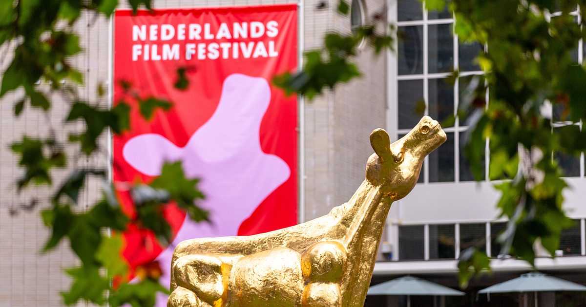 Nederlands Film Festival | Fran Waller Zeper